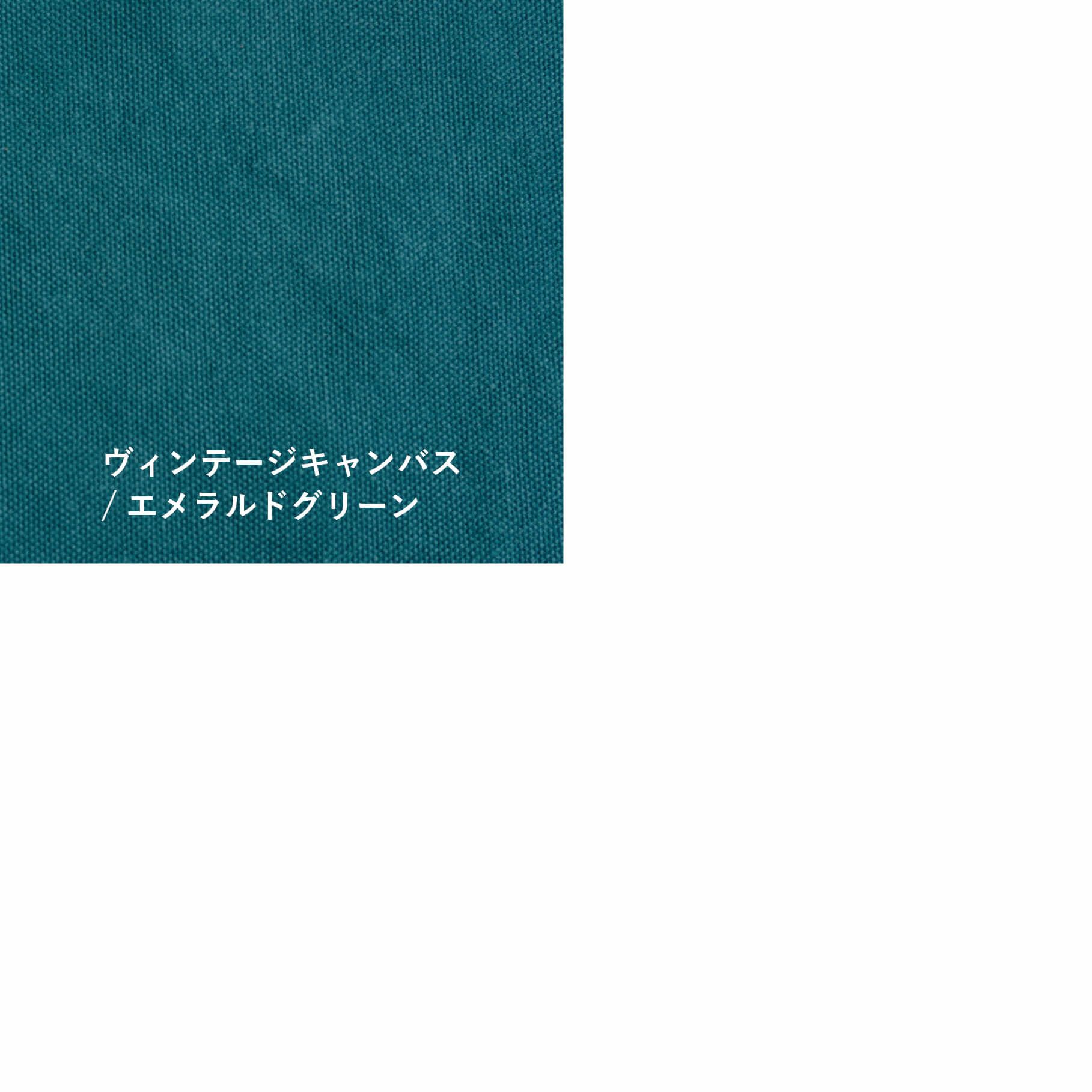 COCCO | DENTO